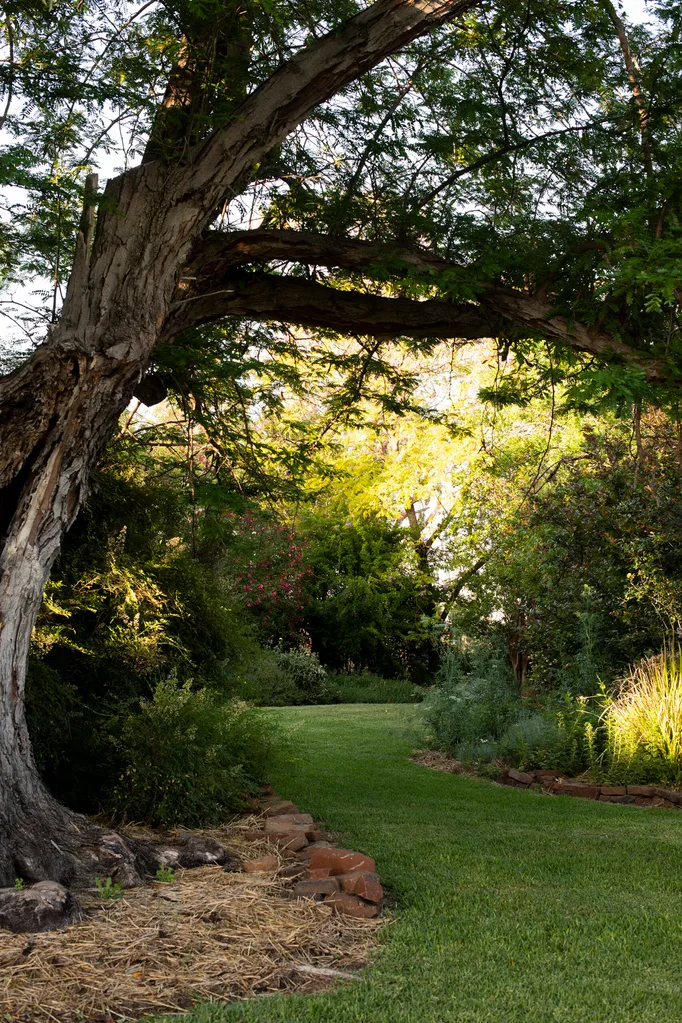 A water-wise rural garden in north-western NSW