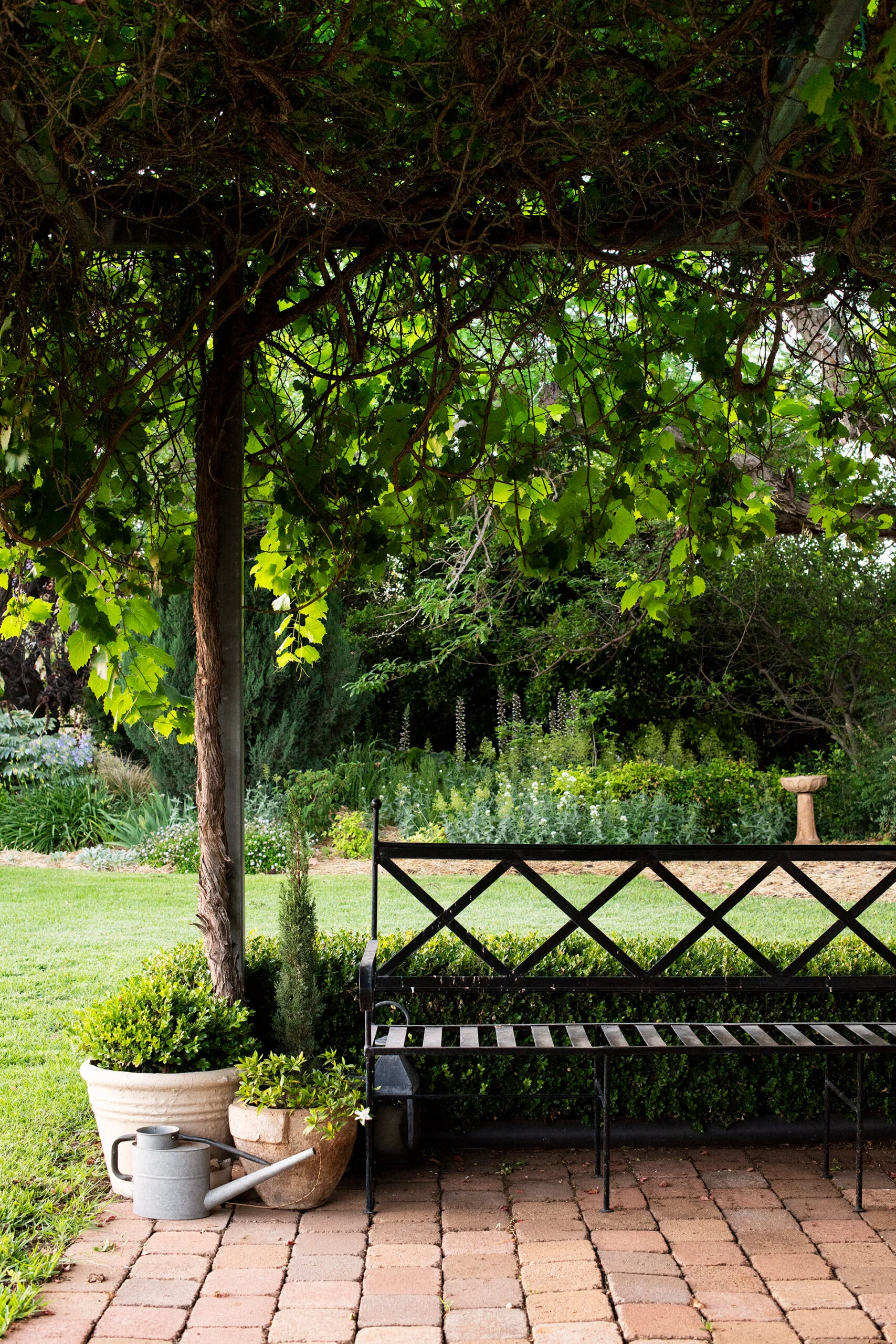 A water-wise rural garden in north-western NSW