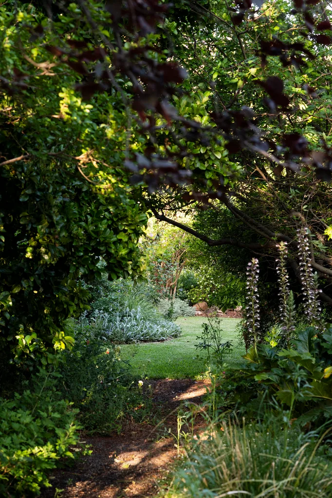 A water-wise rural garden in north-western NSW