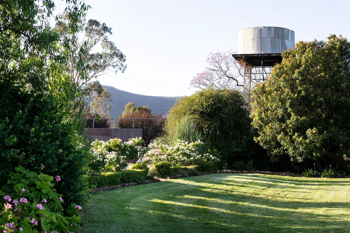 A water-wise rural garden in north-western NSW