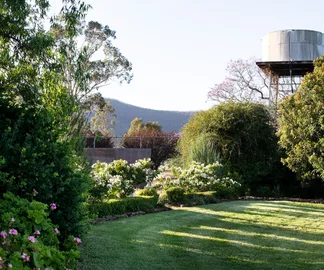 A water-wise rural garden in north-western NSW