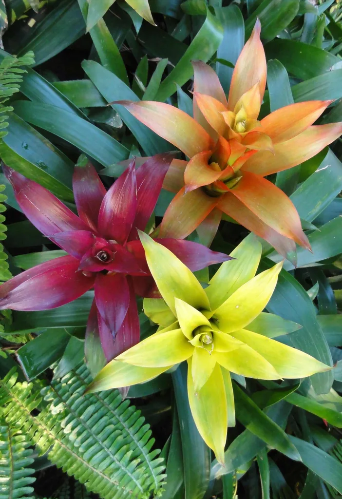 Vertical garden plants: 9 of the best types to grow