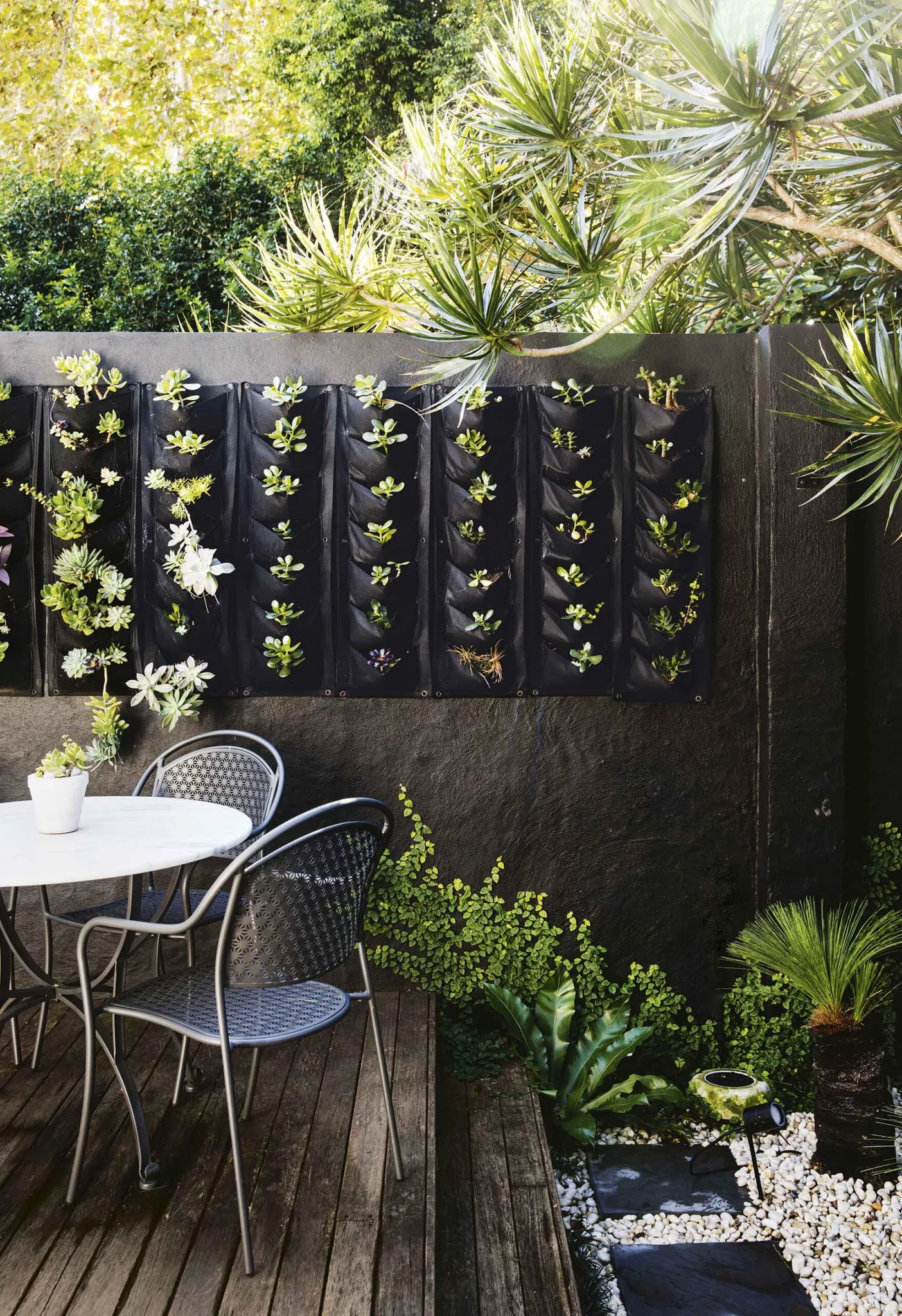 Vertical garden plants: 9 of the best types to grow
