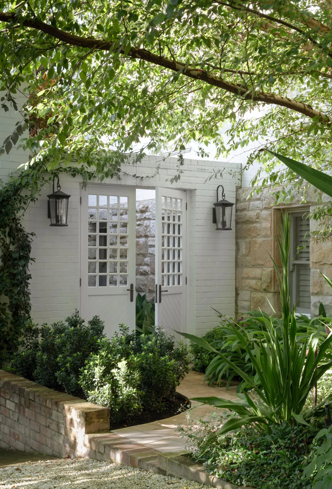 A lush botanical garden filled with textural plantings