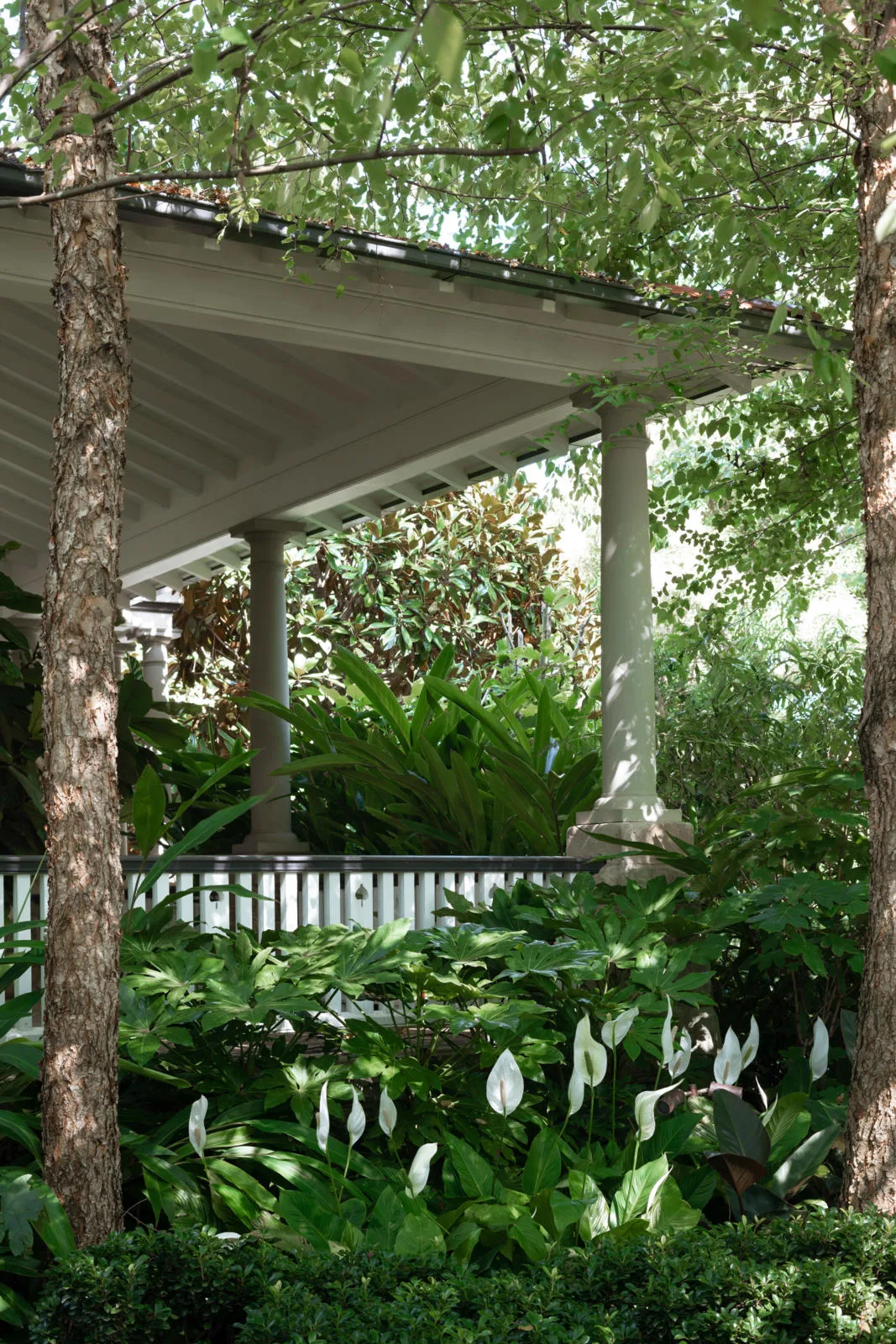 A lush botanical garden filled with textural plantings
