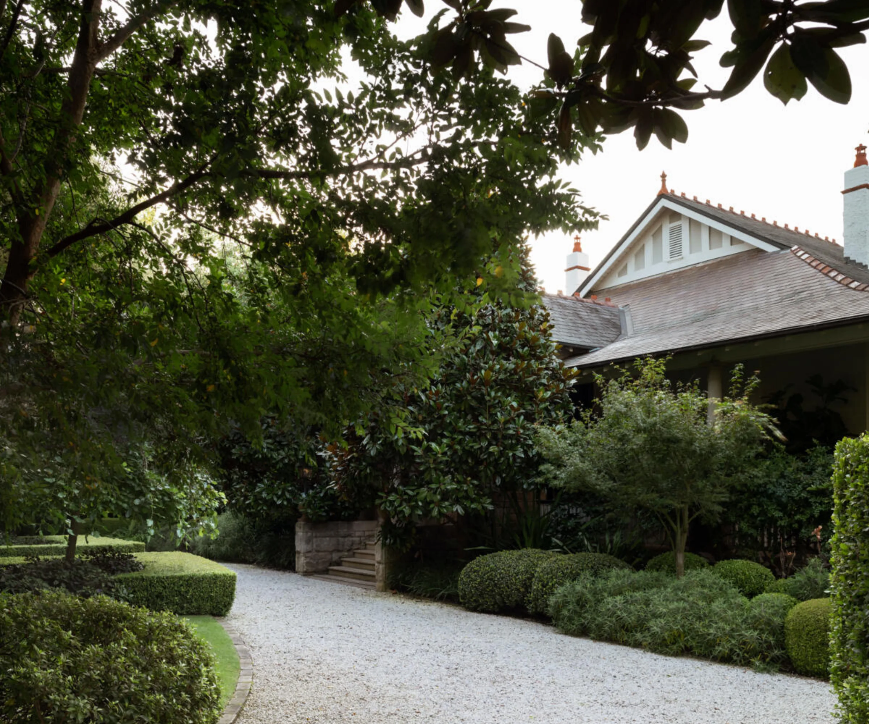 A lush botanical garden filled with textural plantings