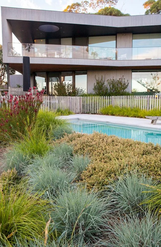 Clumping plants: 6 low-maintenance species for your garden