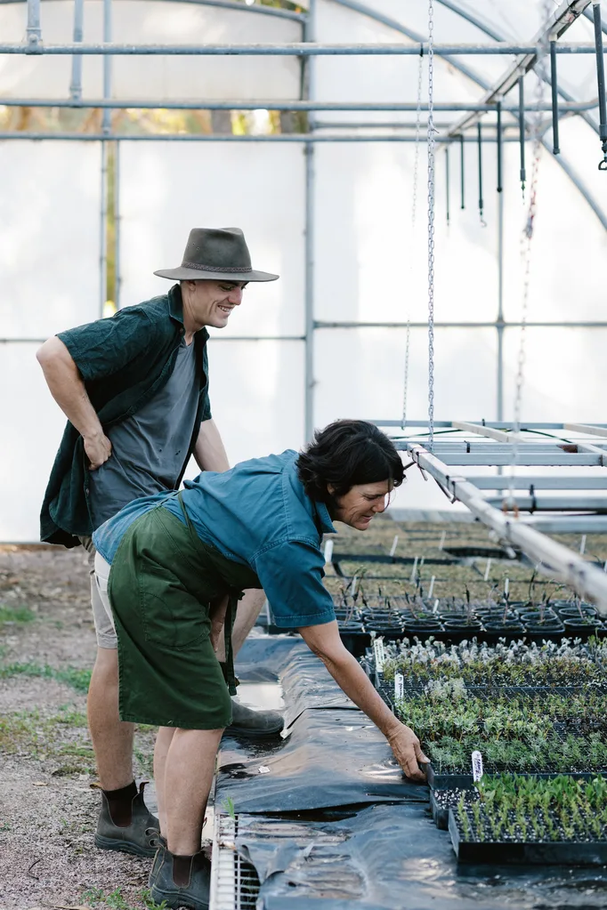 A native plant nursery in Esperance, Western Australia