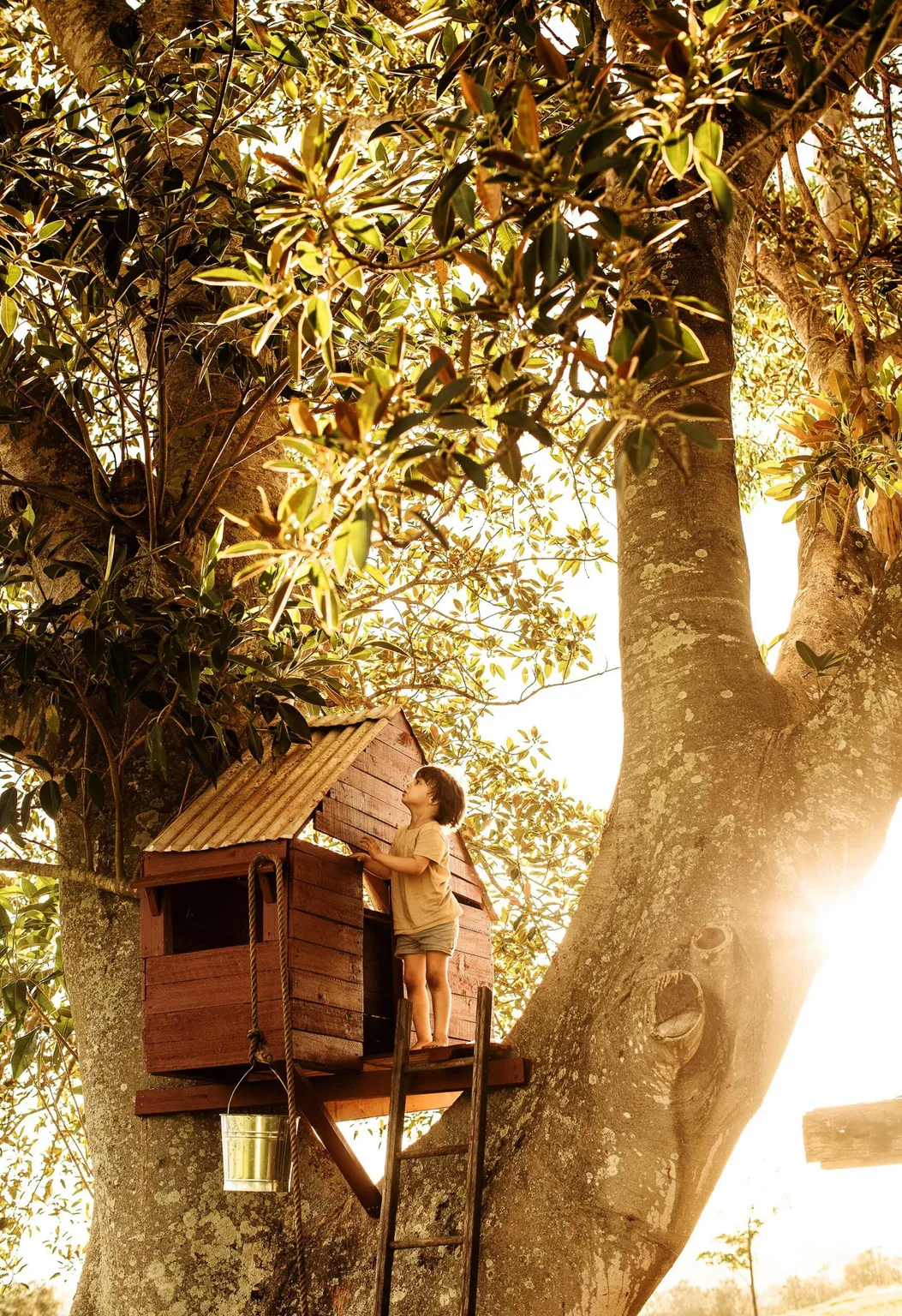 Treehouse tips: how to add one to your backyard
