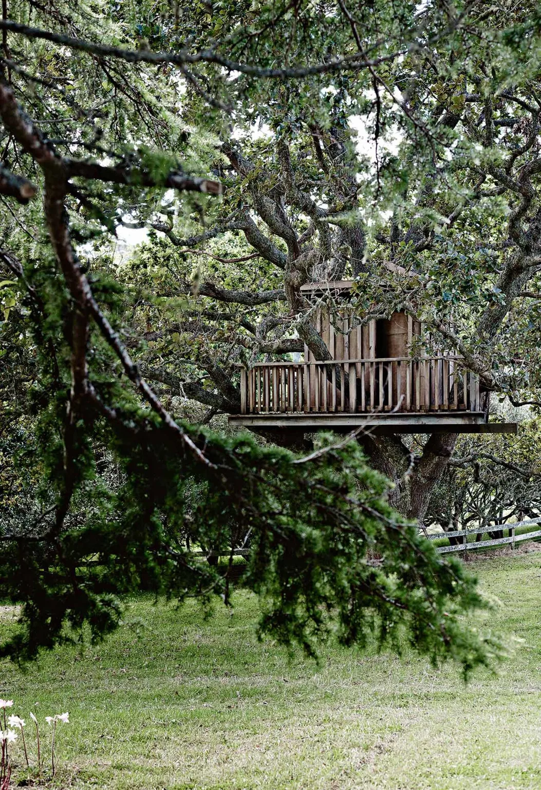 Treehouse tips: how to add one to your backyard