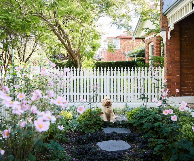 Spring Garden: What To Plant And Prune In Australia | Homes To Love