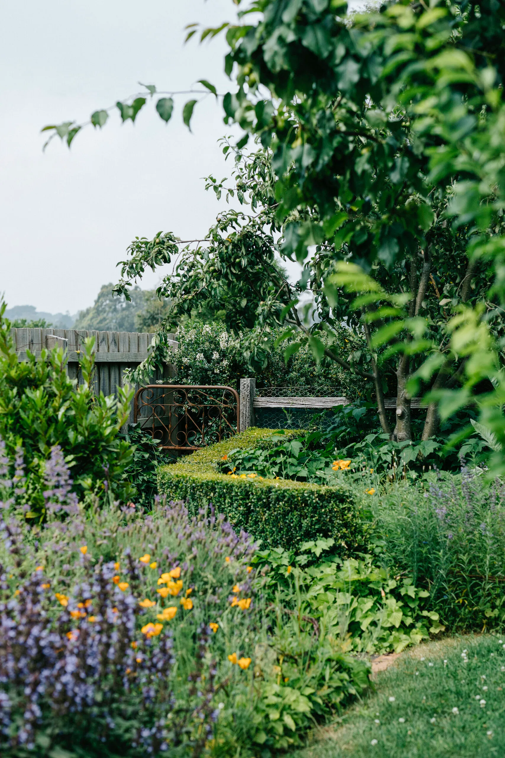 15 Cottage Gardens That Are Full Of Charm | Homes To Love
