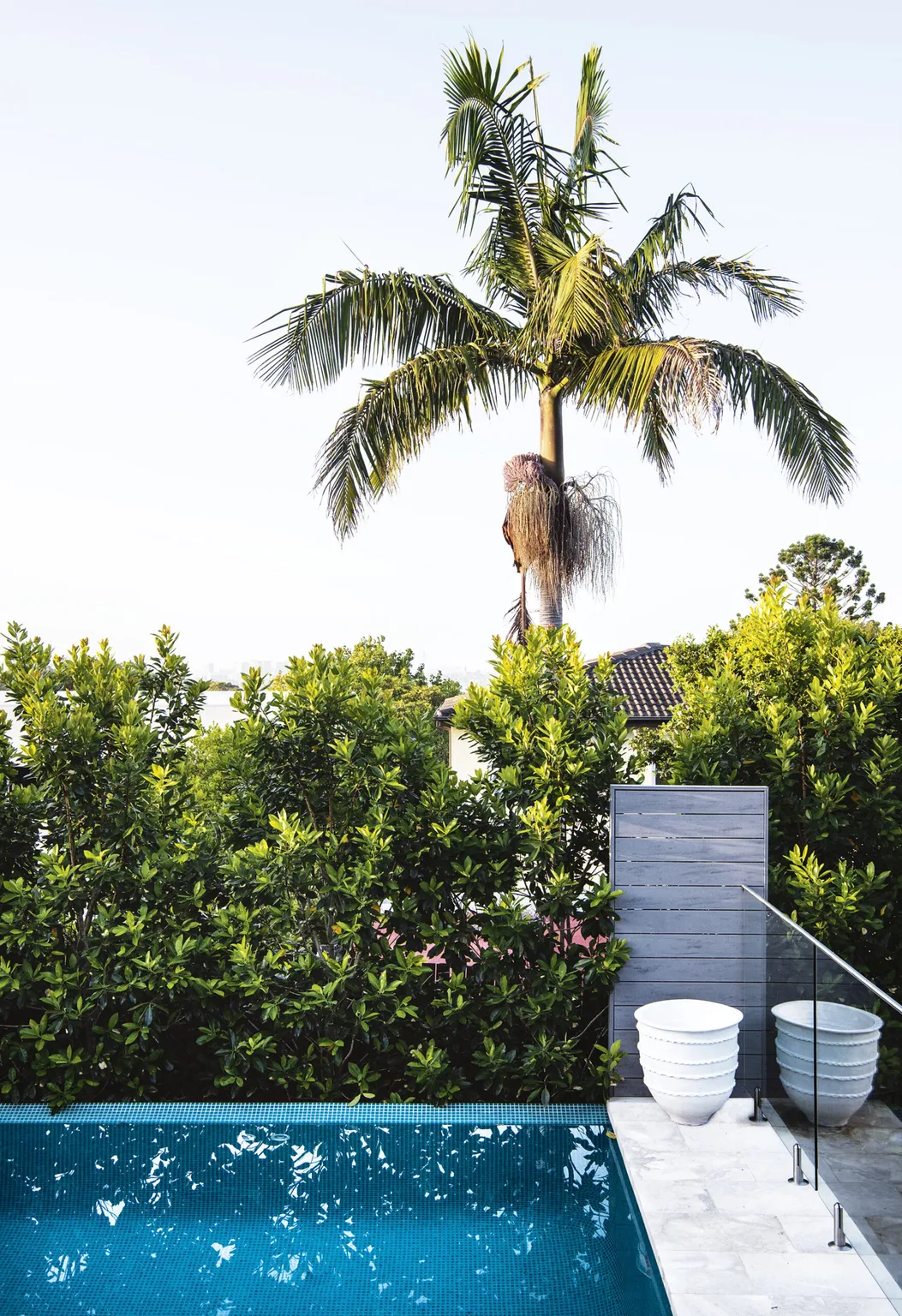 20 pool design ideas to inspire your next plunge | Homes To Love