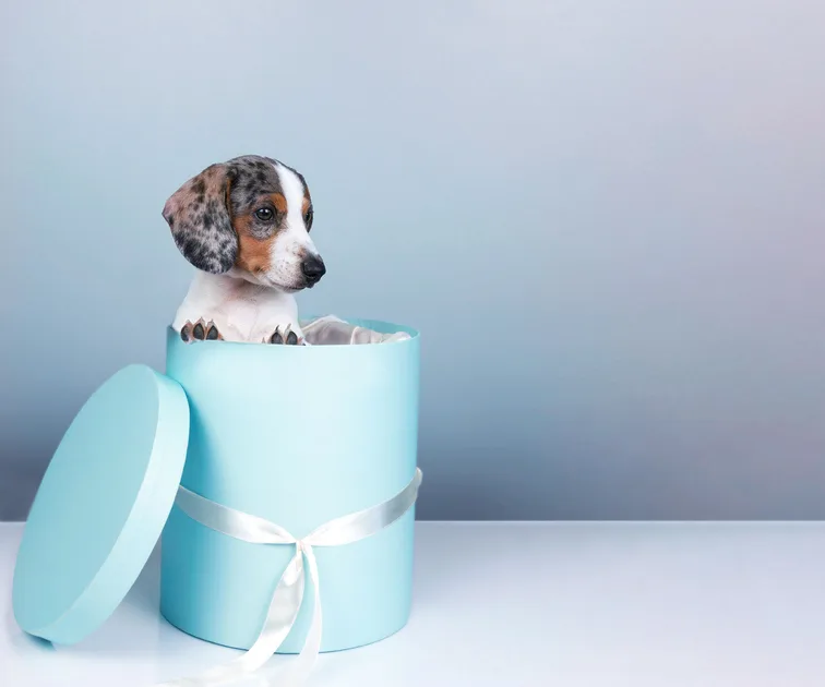 A step-by-step guide to covering a hat box