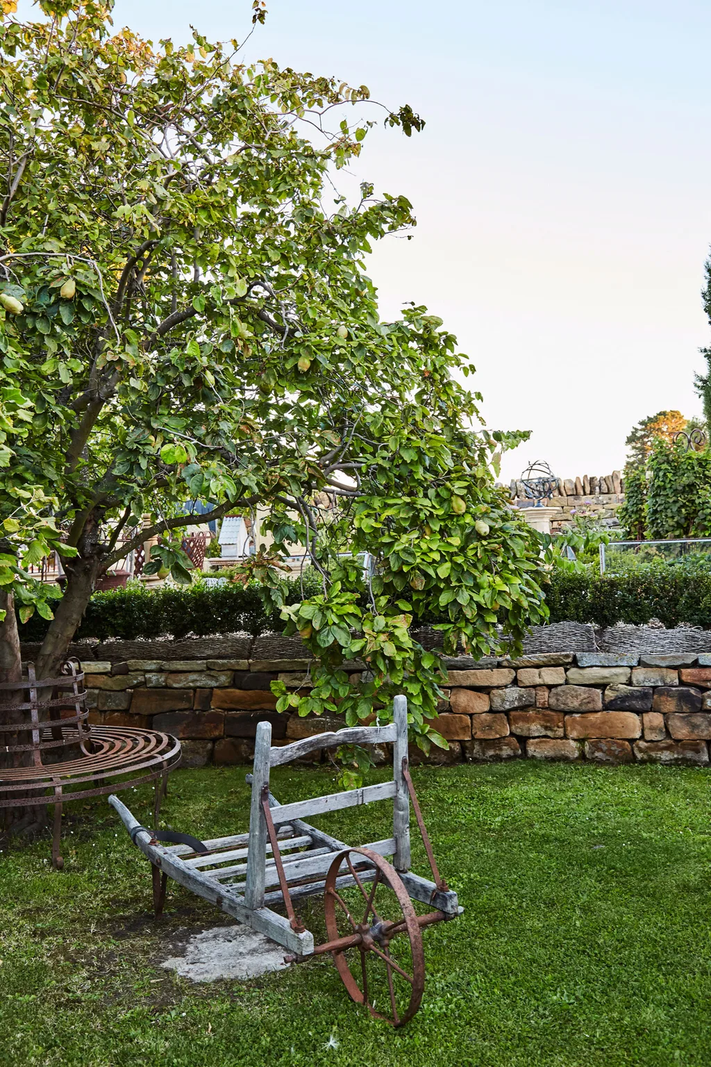 Apple season Australia: Growing and picking fresh apples