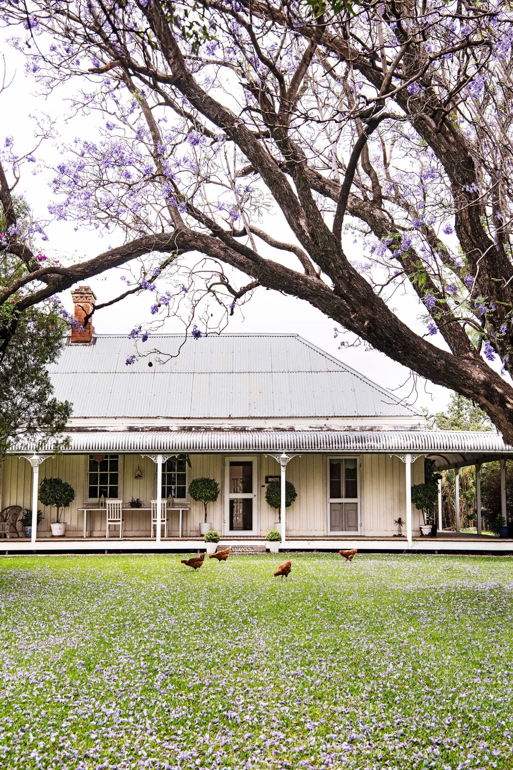 29 Country Verandah Ideas You'll Fall In Love With