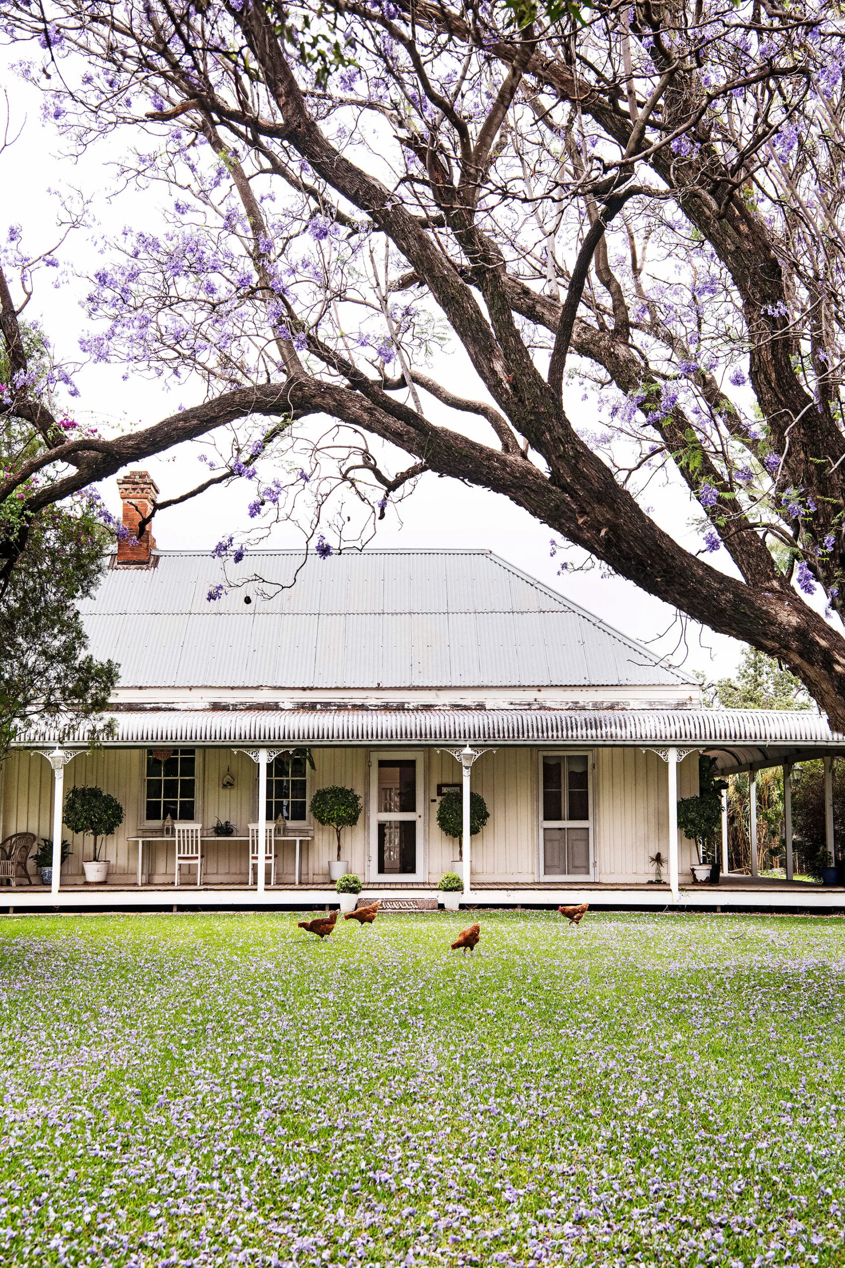 15 charming Australian country homes