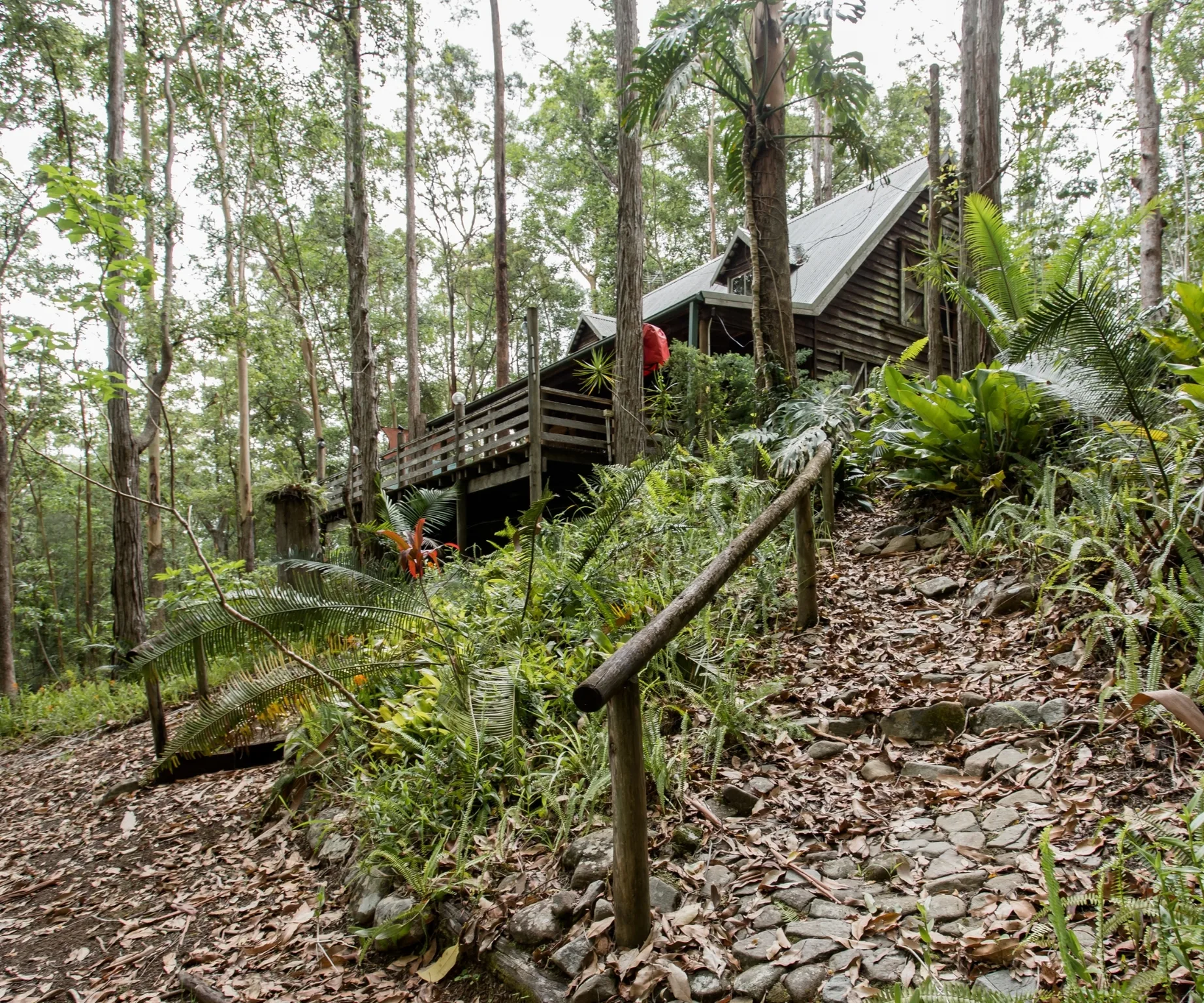 A secluded rainforest cabin restored by DIY renovators