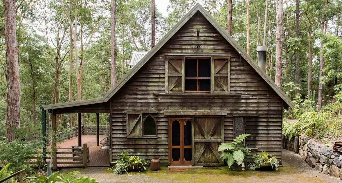 A secluded rainforest cabin restored by DIY renovators