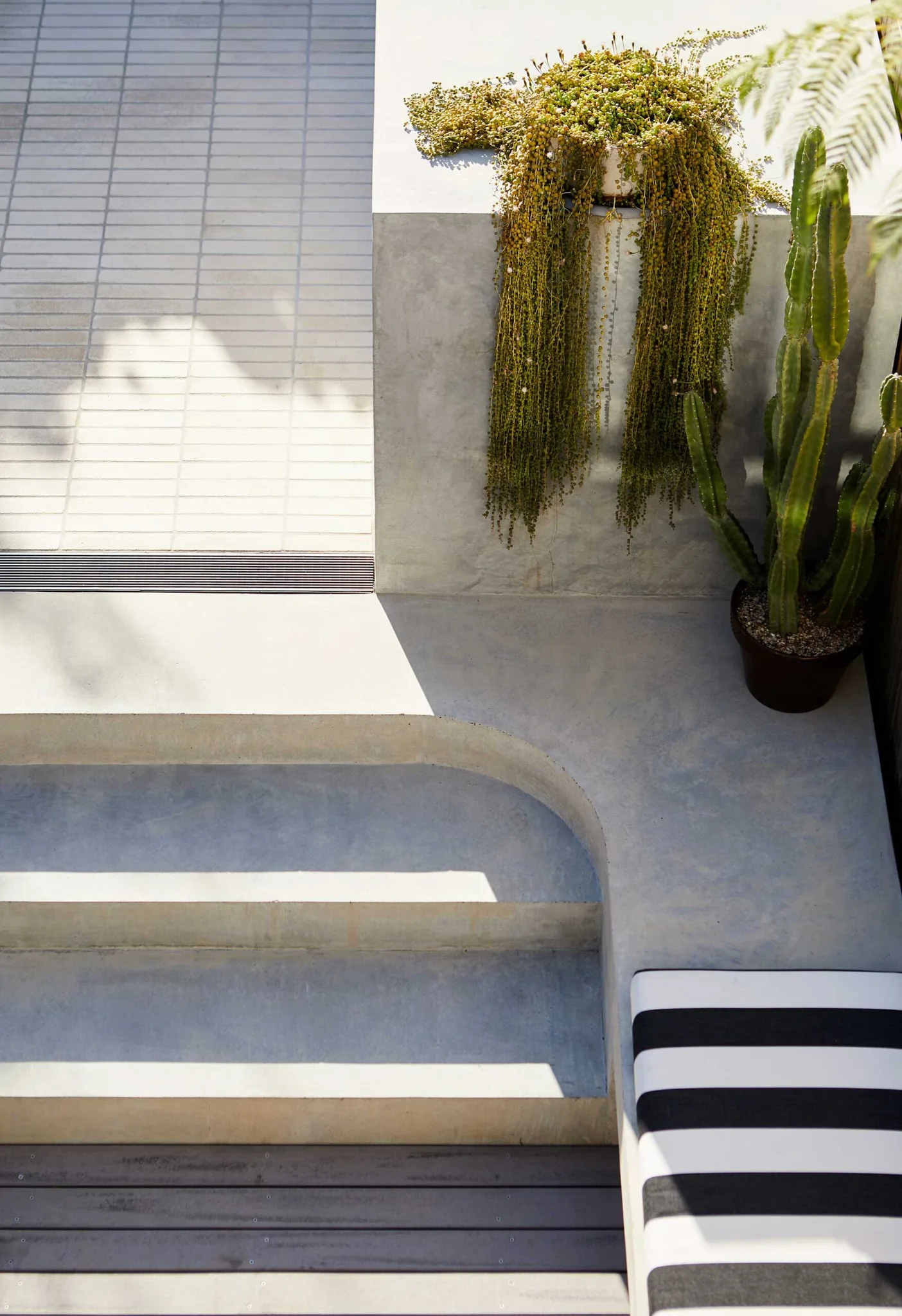 A pared back courtyard garden with low-maintenance plants