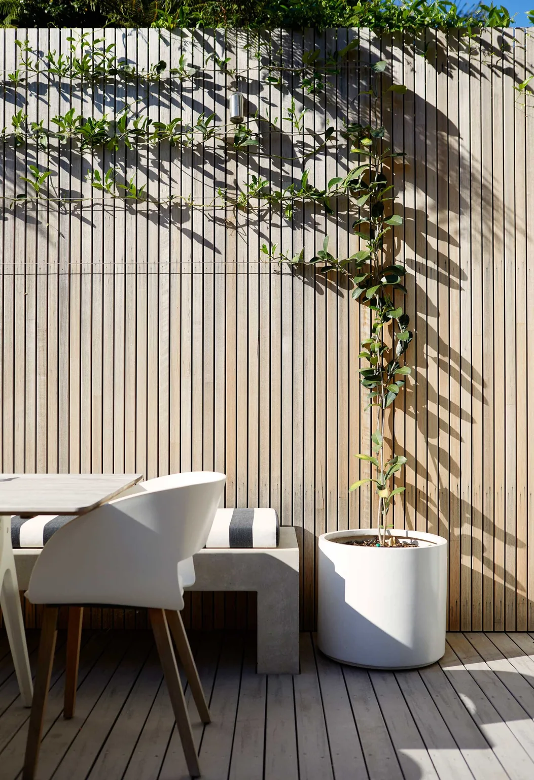 A pared back courtyard garden with low-maintenance plants