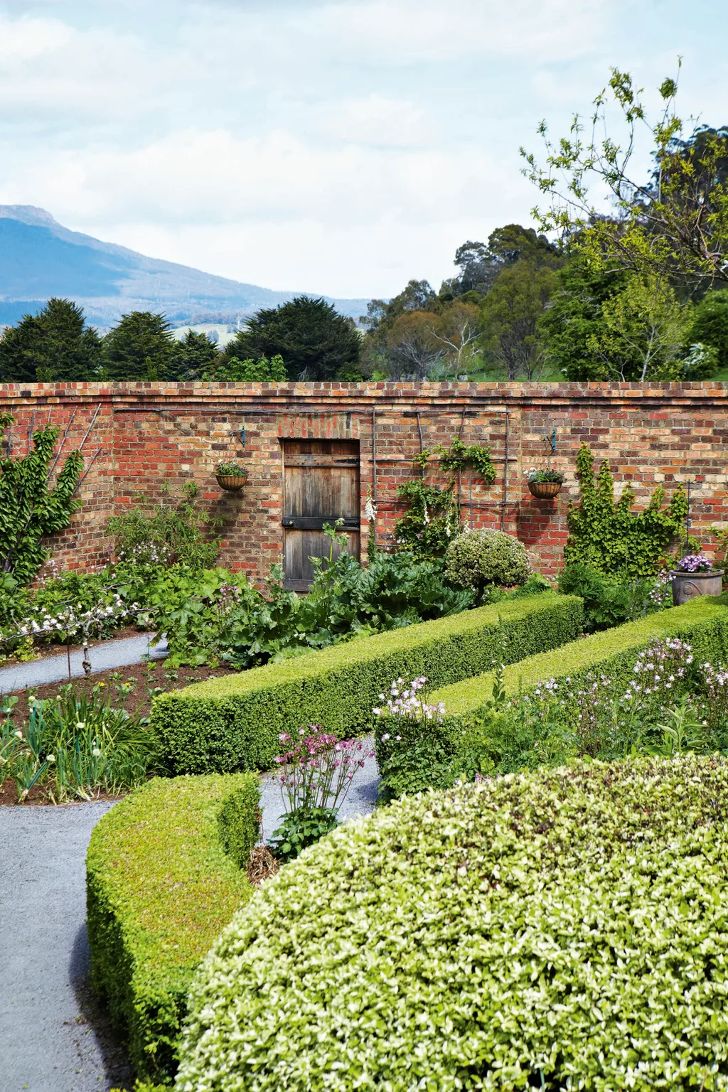 8 wonderful walled garden ideas