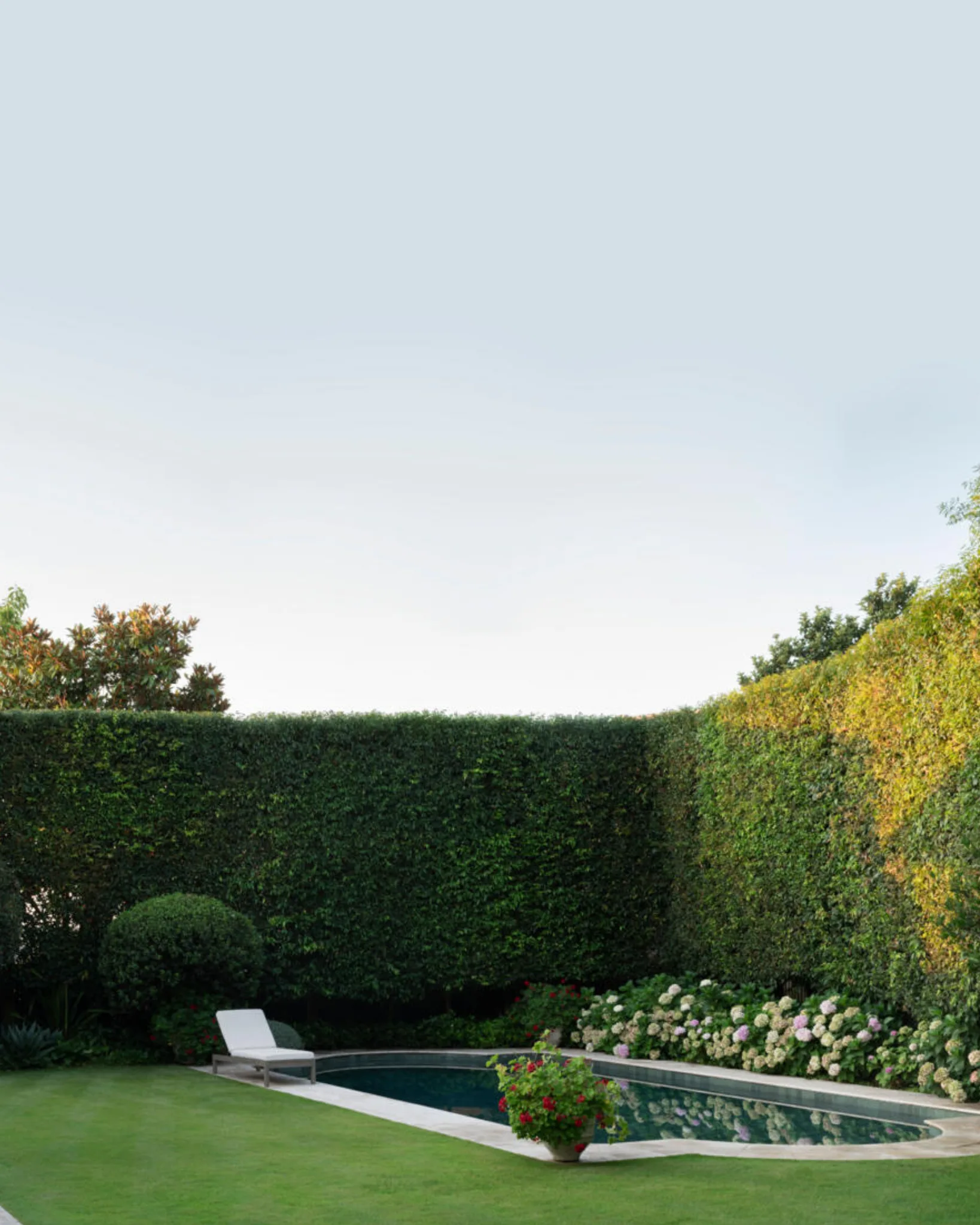 Spring Garden: What To Plant And Prune In Australia | Homes To Love