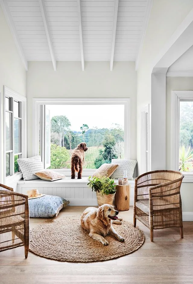 How to spring clean your walls and windows
