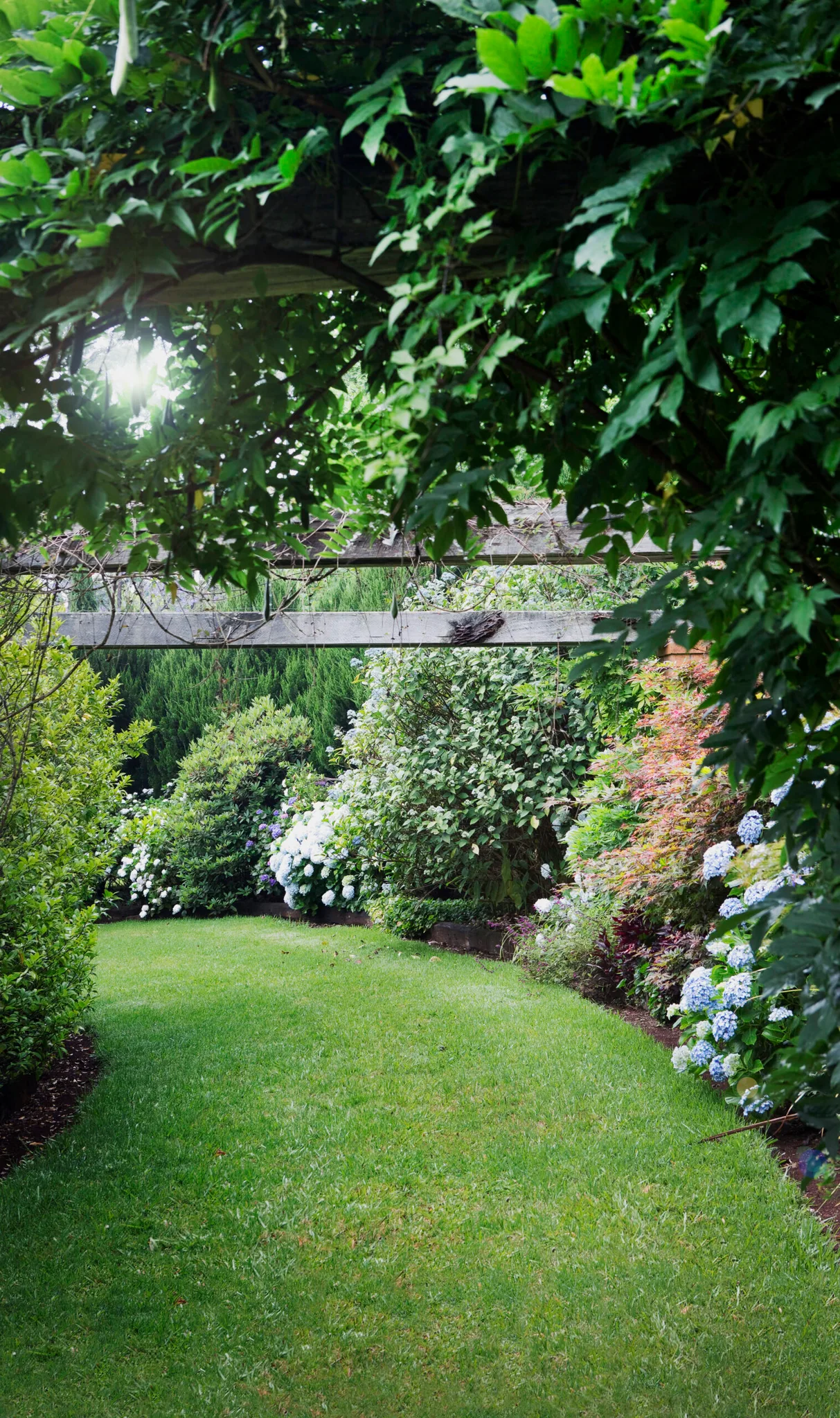 Expert lawn care tips for Australian gardens