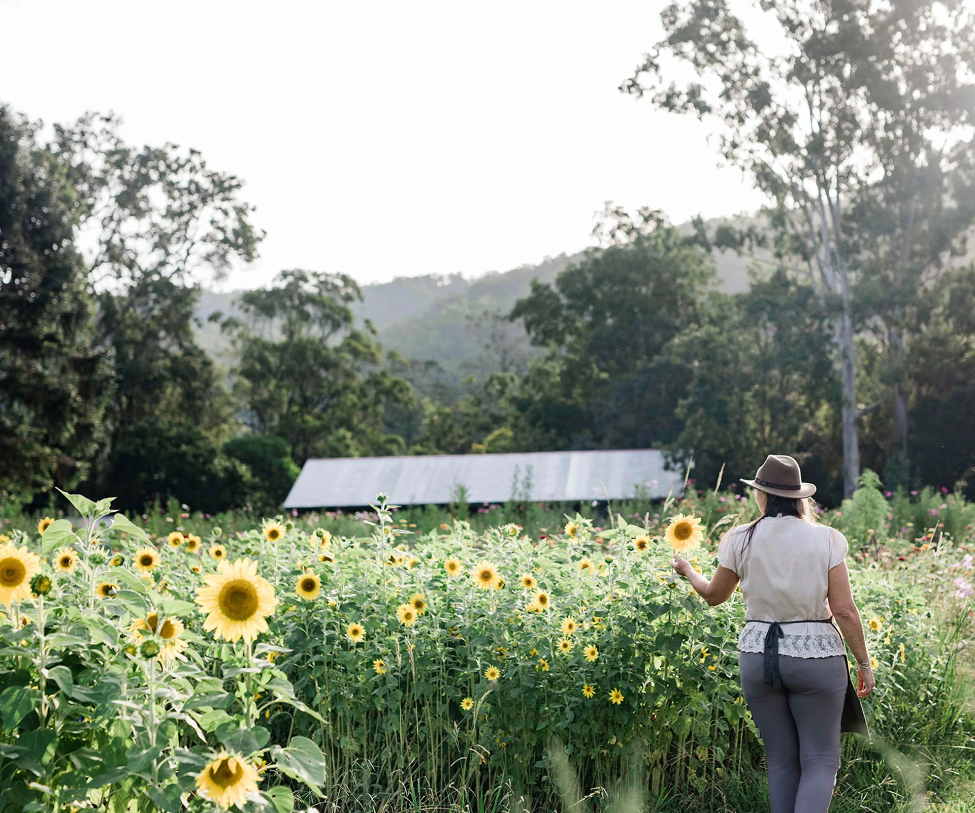 Pretty Produce: An Edible Flower Farm In Queensland