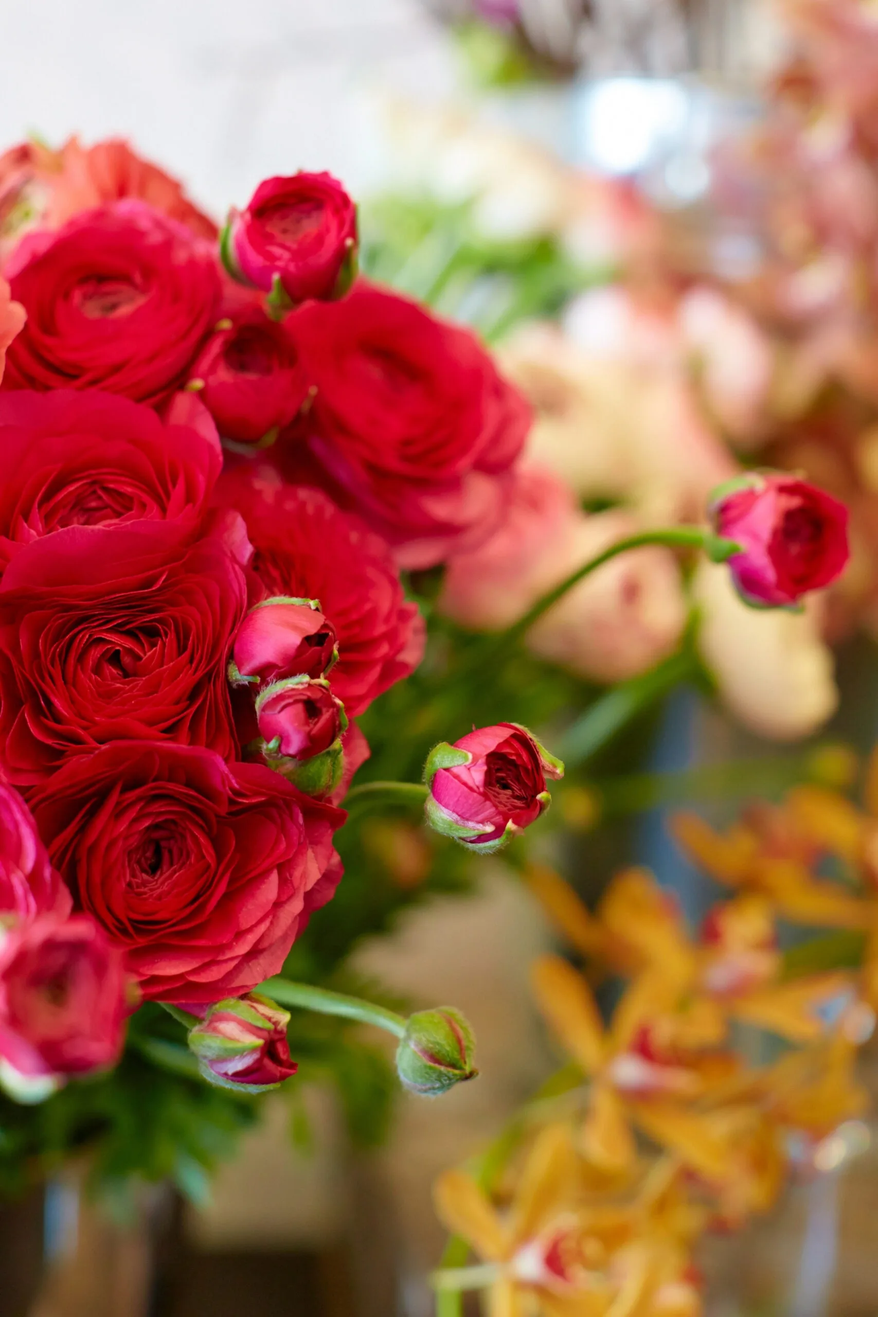 Spring Flowers: 14 Of The Best To Plant This Year