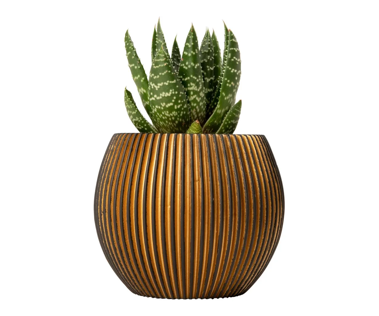 Bunnings debuts affordable range of designer plant pots
