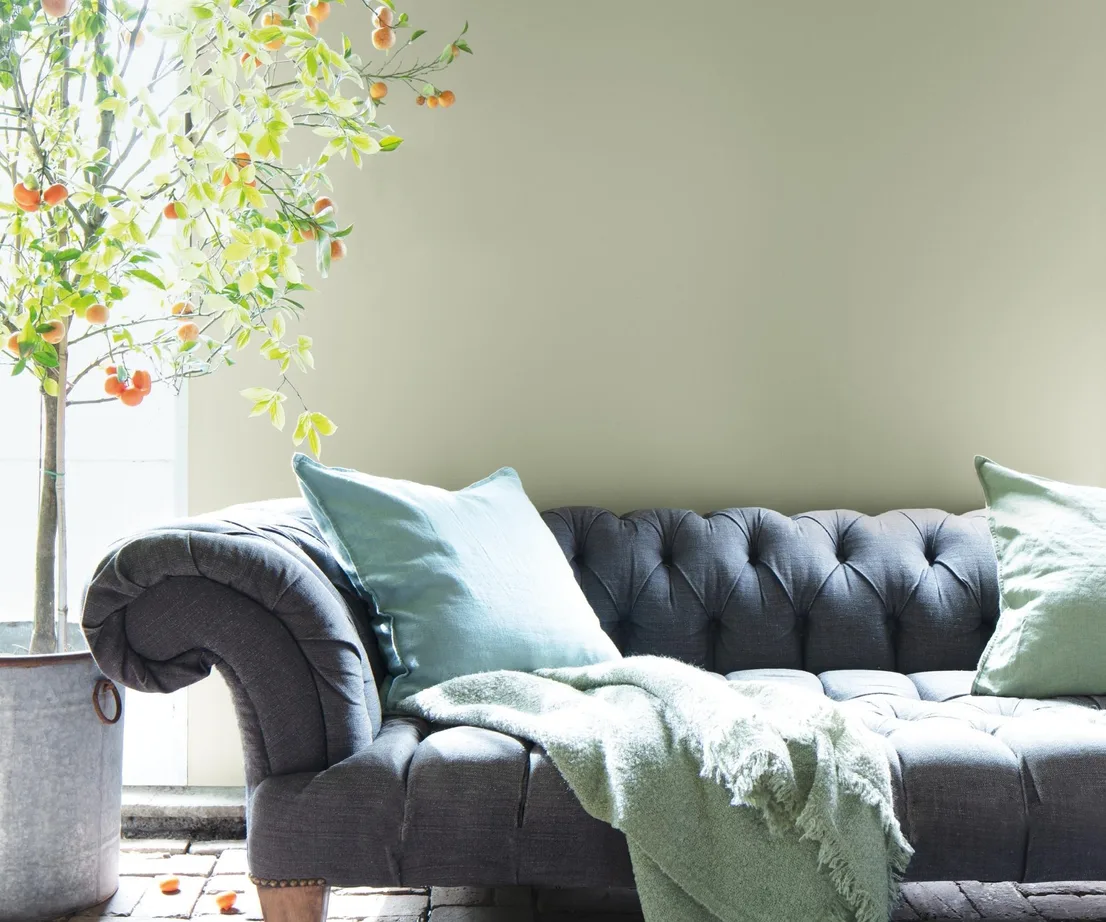 Everything You Need to Know About Benjamin Paint Australia | Homes To Love