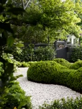 Hedge Plants: 5 Of The Best Varieties For Australian Gardens | Homes To ...