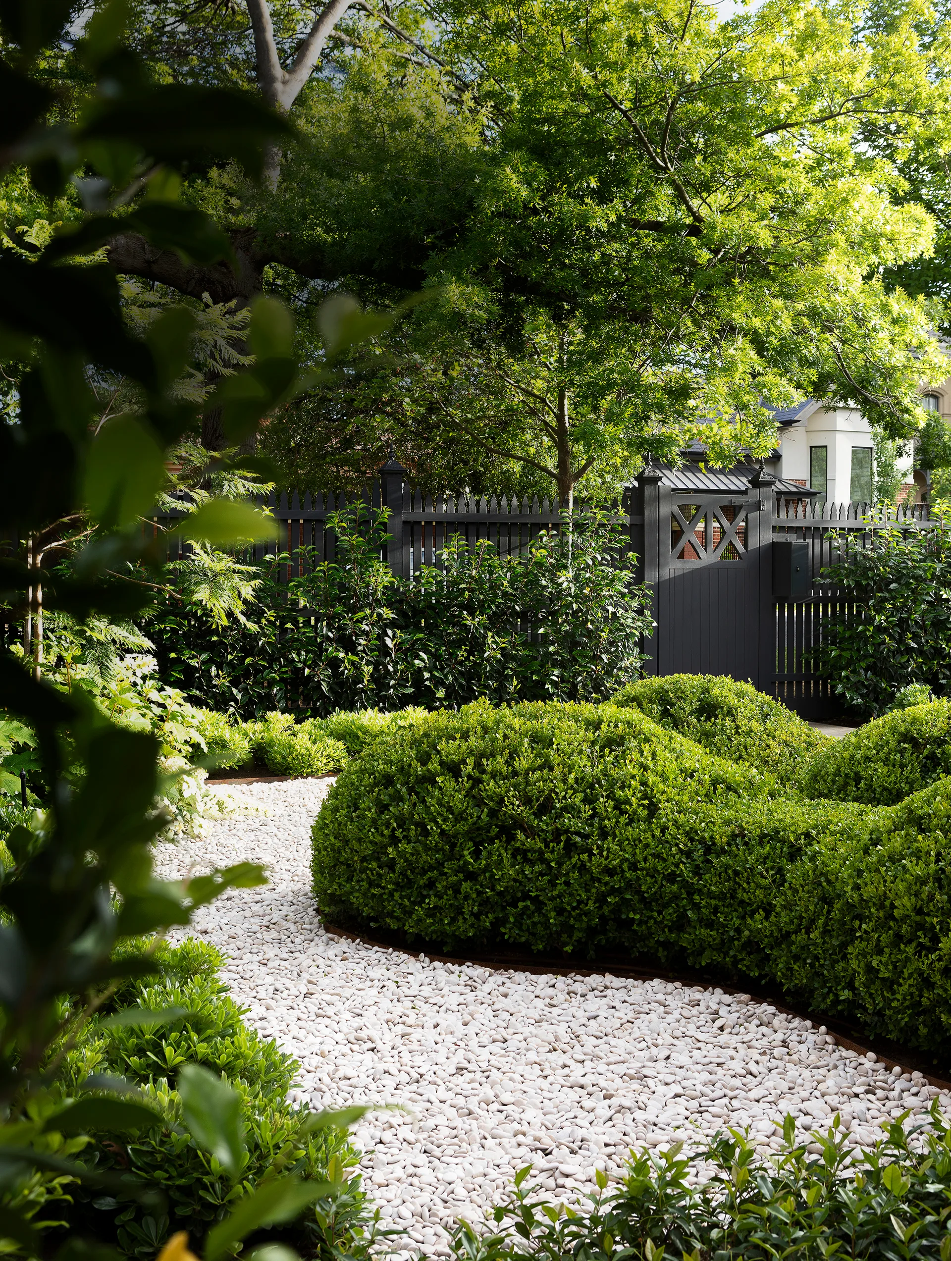 Hedge Plants: 5 Of The Best Varieties For Australian Gardens | Homes To ...