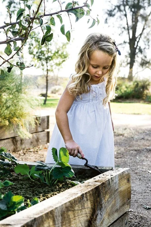 5 beautiful backyard designs the whole family will love