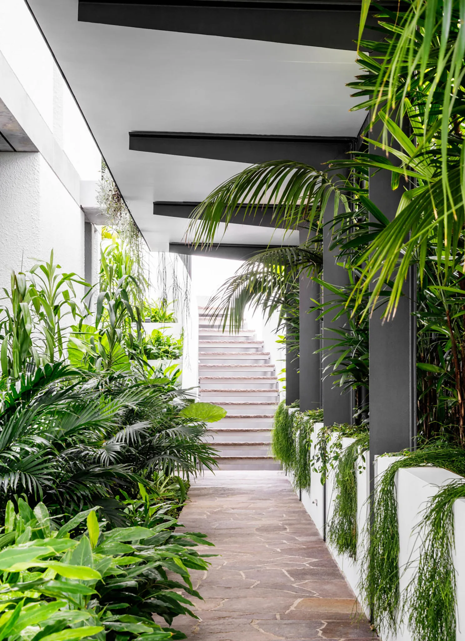 Tropical Garden Design: How To Create A Lush Tropical Garden | Homes To ...