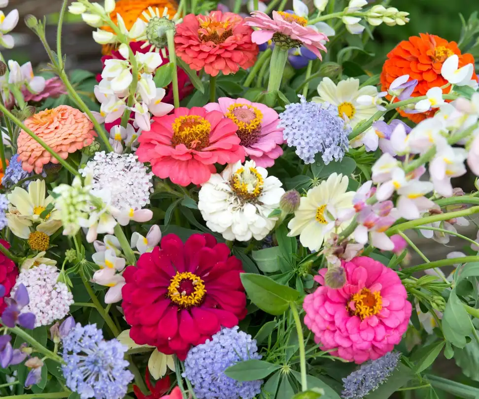 February Wedding Flowers: Seasonal Blooms for Your Day