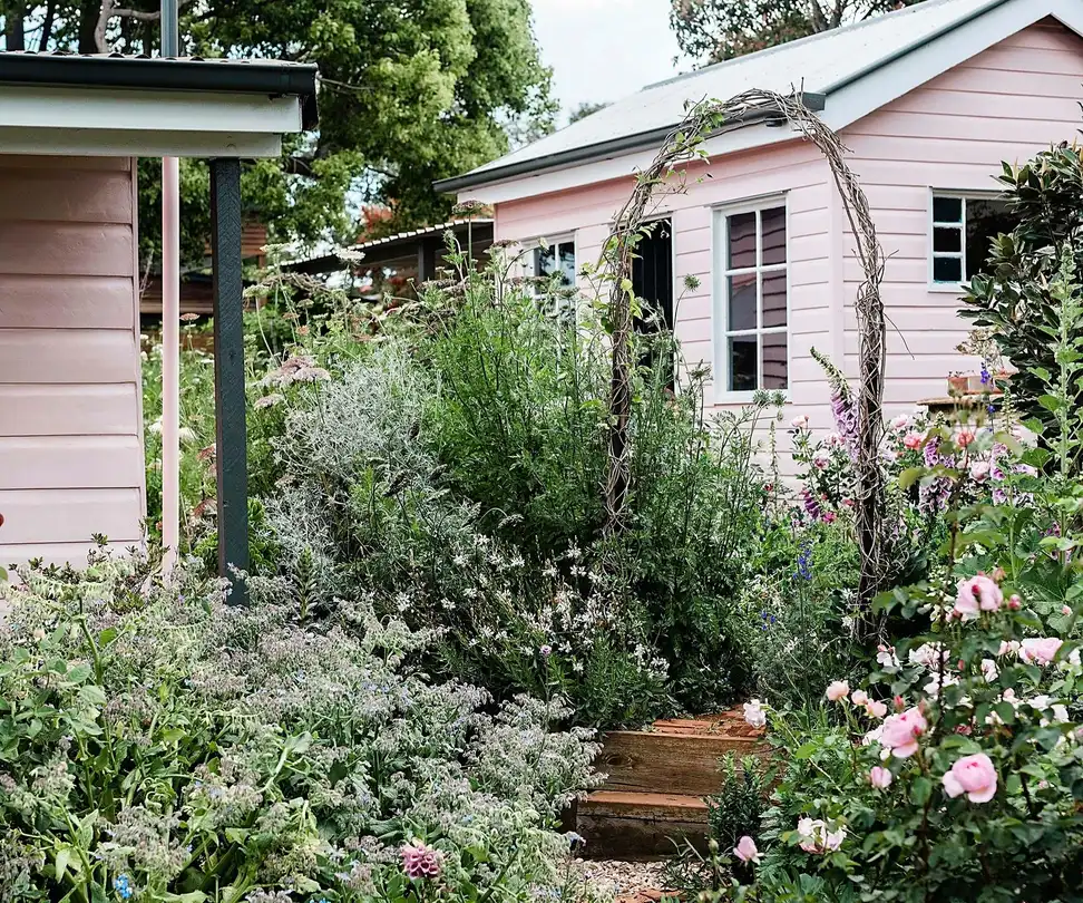 The best plants for cottage gardens