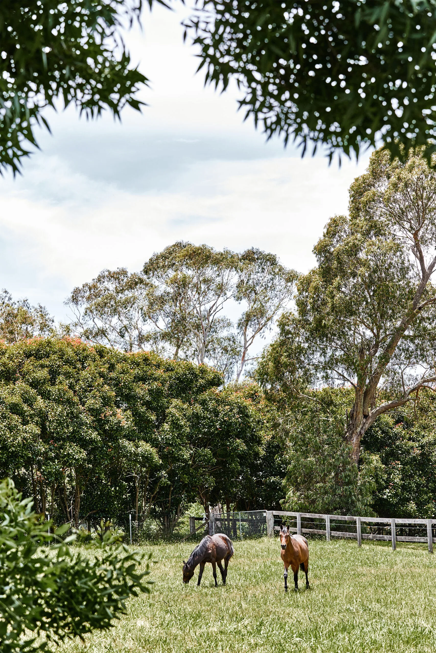 A Modern Farmhouse Tour with Recycled Materials and Finds | Homes To Love