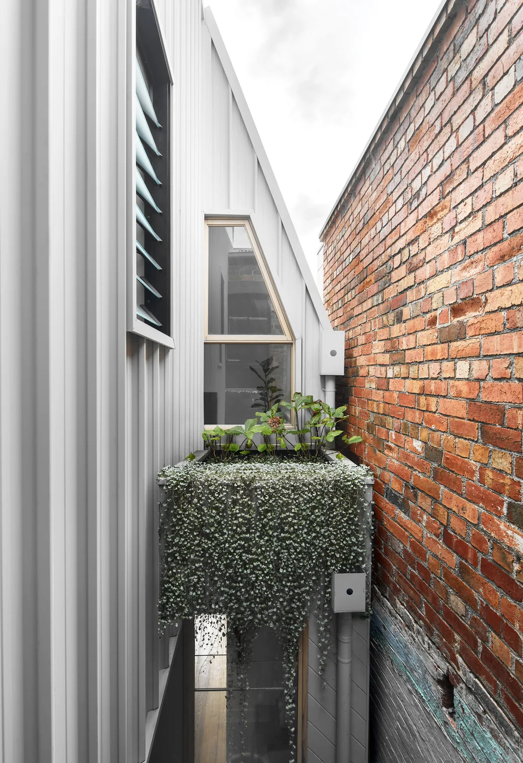 Clever Use of Sunlight, Space, and Colour Brightens Terrace | Homes To Love