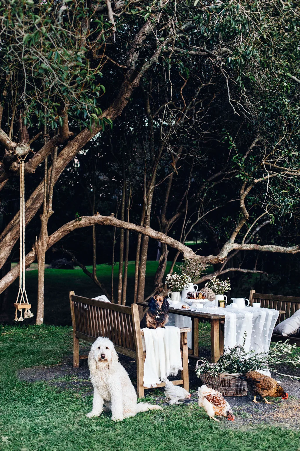 18 Country Homes Surrounded By Roaming Animals | Country Style