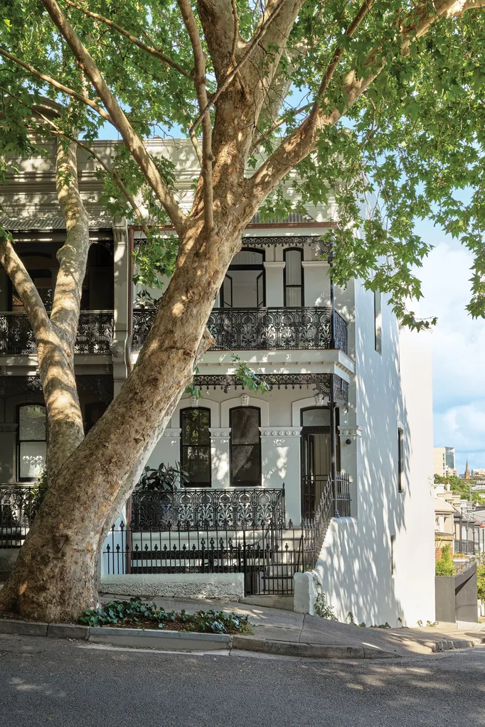 A renovated terrace house in Inner Sydney