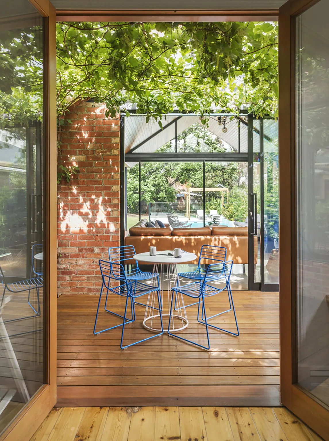 English Oak: how to grow this hardwood tree at home