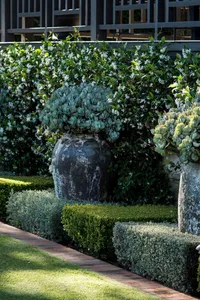Garden Borders: How To Choose The Best Edging Plants