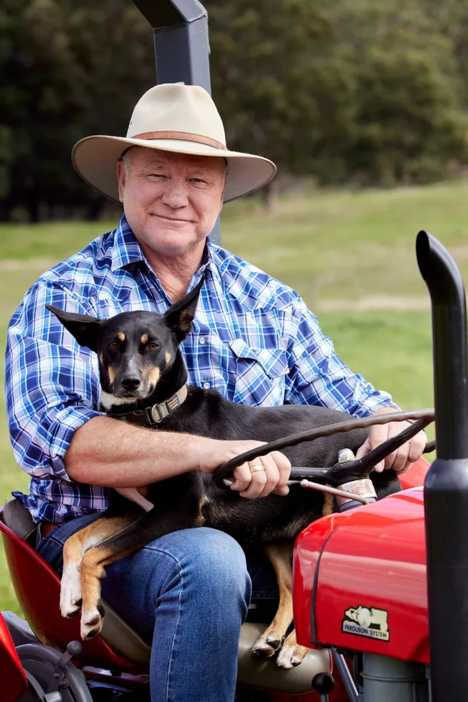 The Block 2022: Scotty Cam's kelpie Frankie