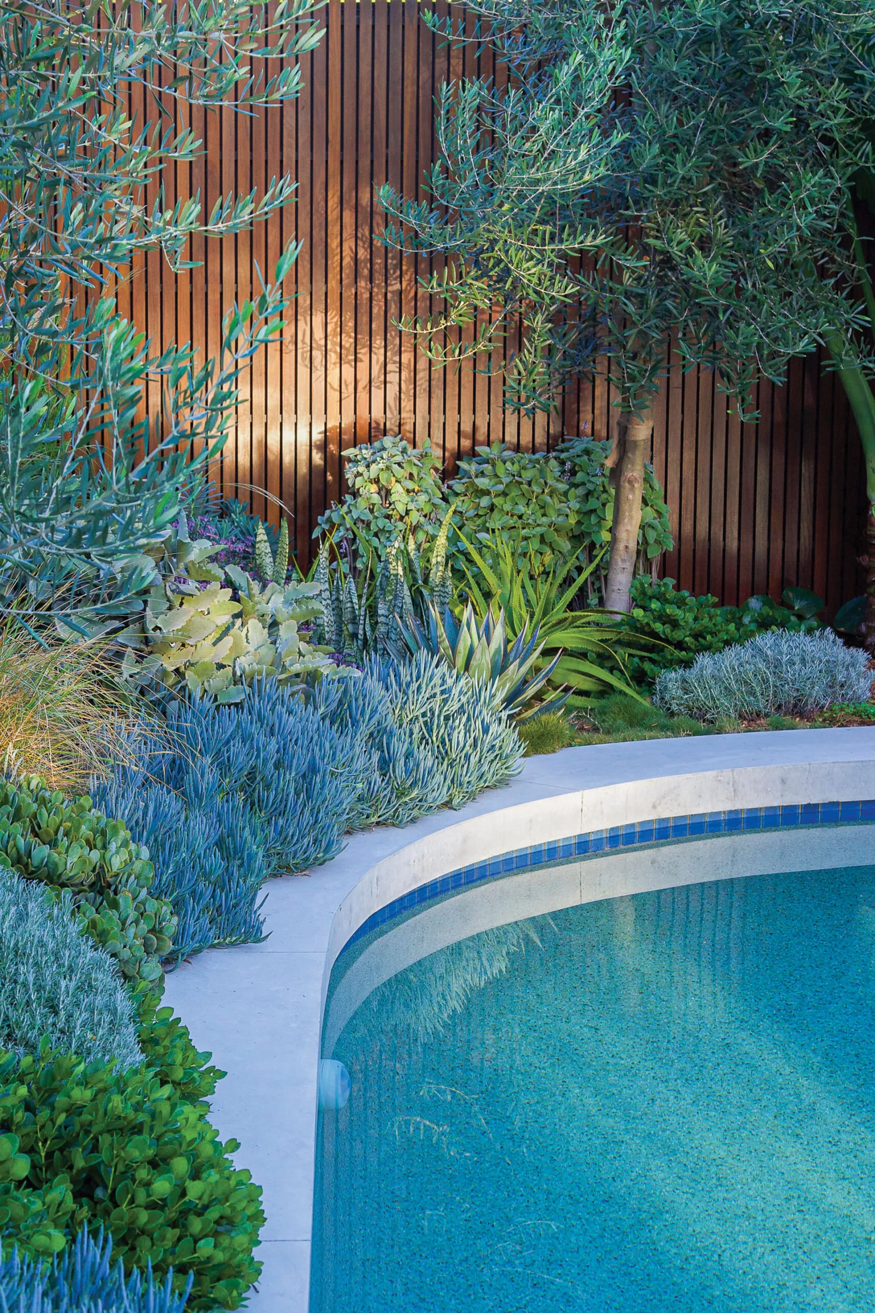 A practical perennial garden in Sydney's south