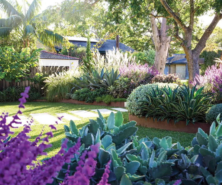 A practical perennial garden in Sydney's south