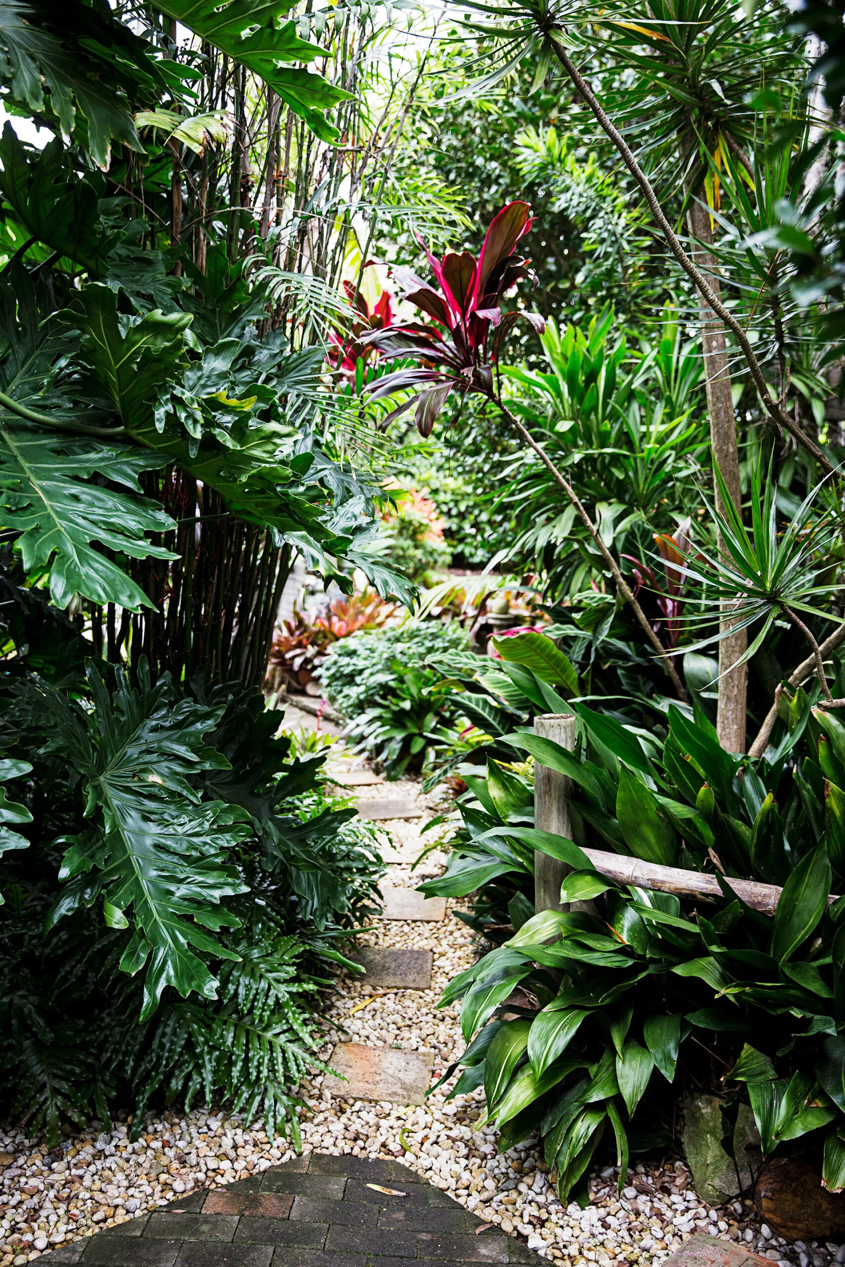 Be Transported By These 12 Australian Tropical Garden Ideas | Homes To Love