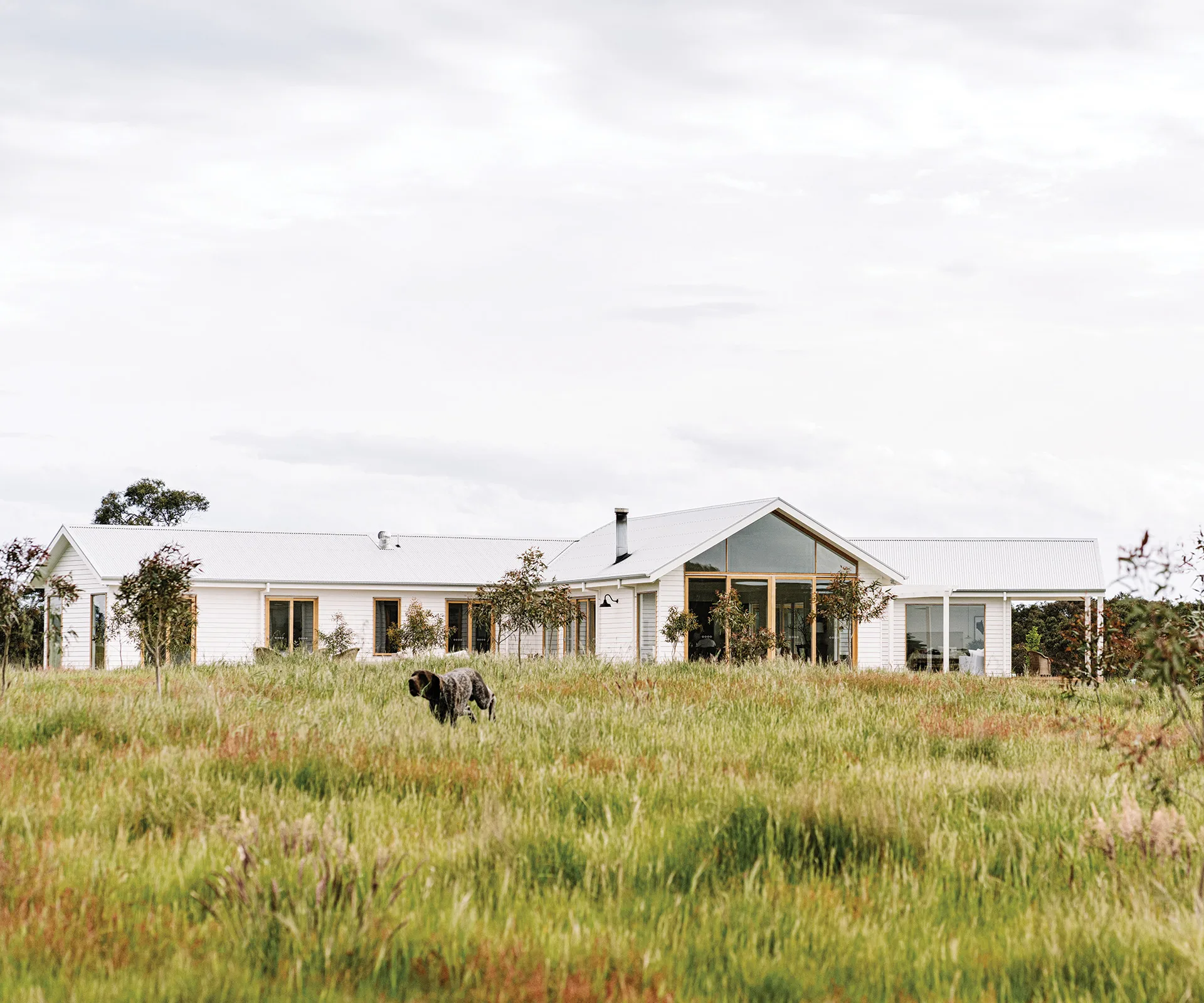 A sustainable country-style build in Winchelsea